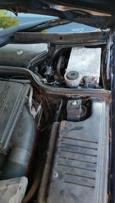 R129 ASR light, OVP Relay? | Engine | MBClub UK - Bringing together ...