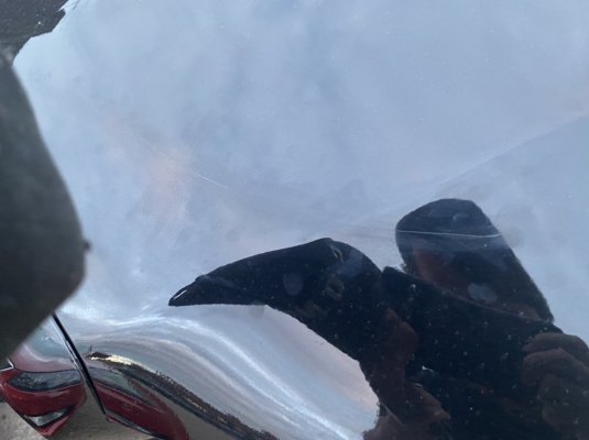 Tree branch scratch or key scratch ? options | Bodywork | MBClub UK ...