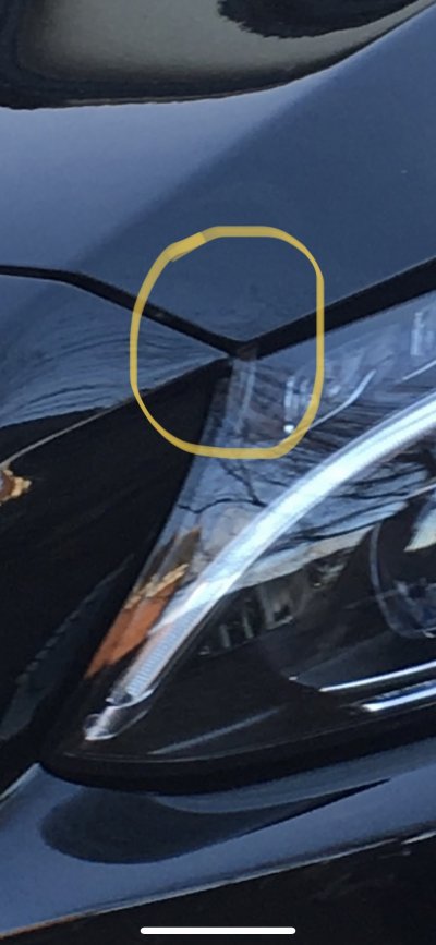 C63 2018 PFL Front Bumper Alignment | Bodywork | MBClub UK - Bringing ...